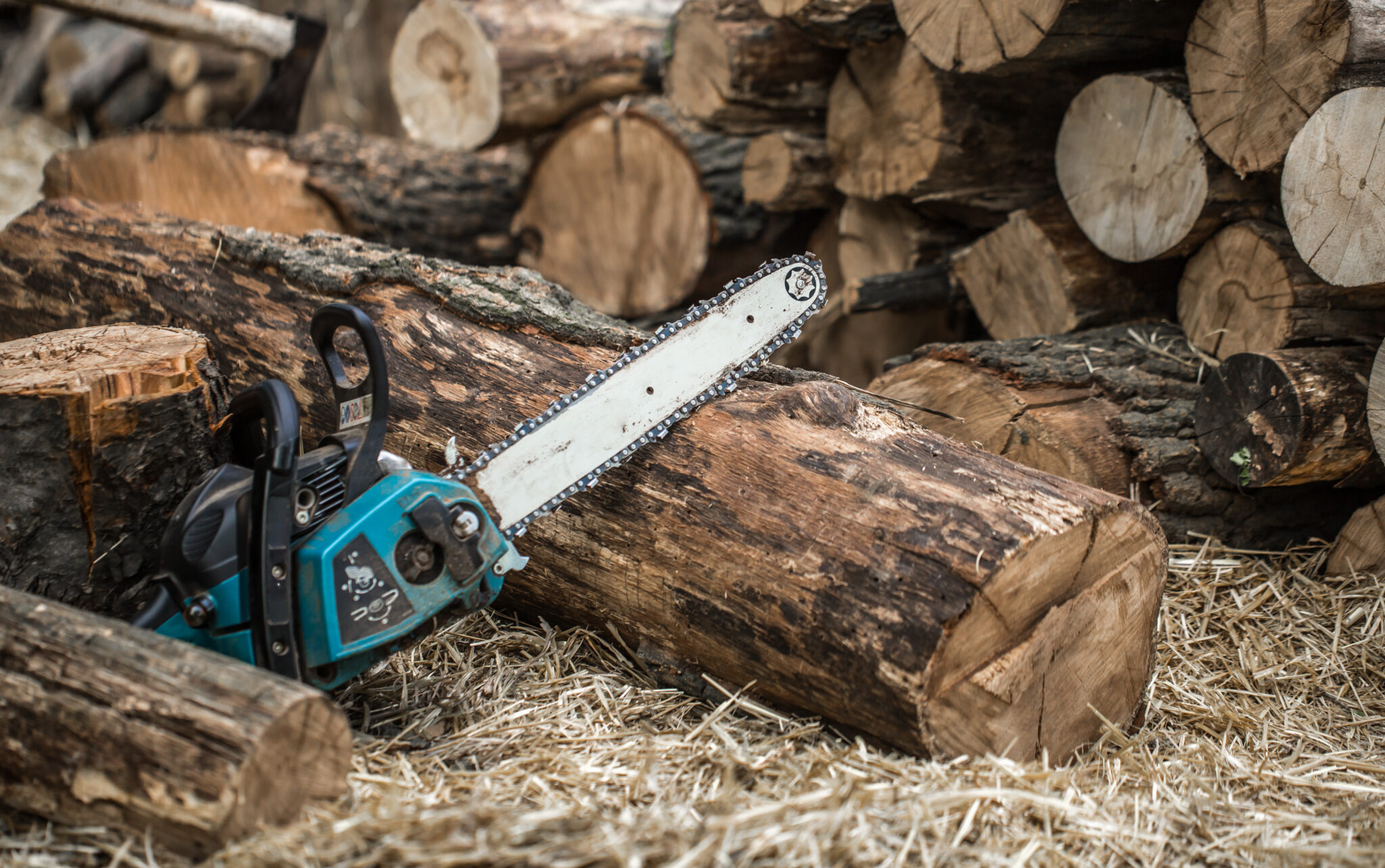 Home - Evergreen Firewood